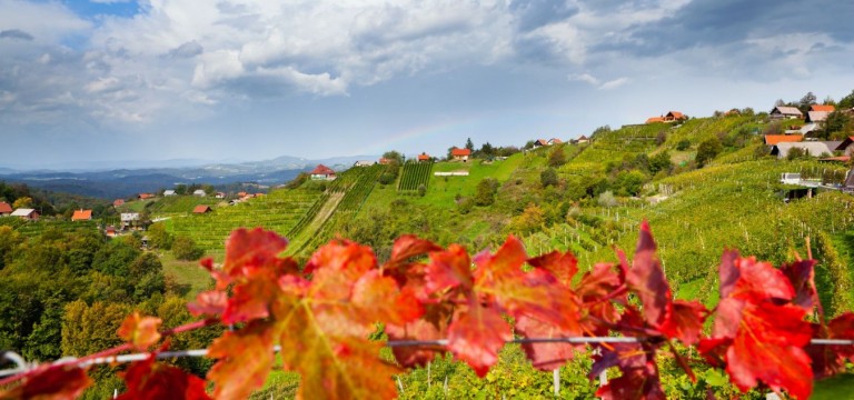 Come to the hills of Lower Carniola - Top Tourist