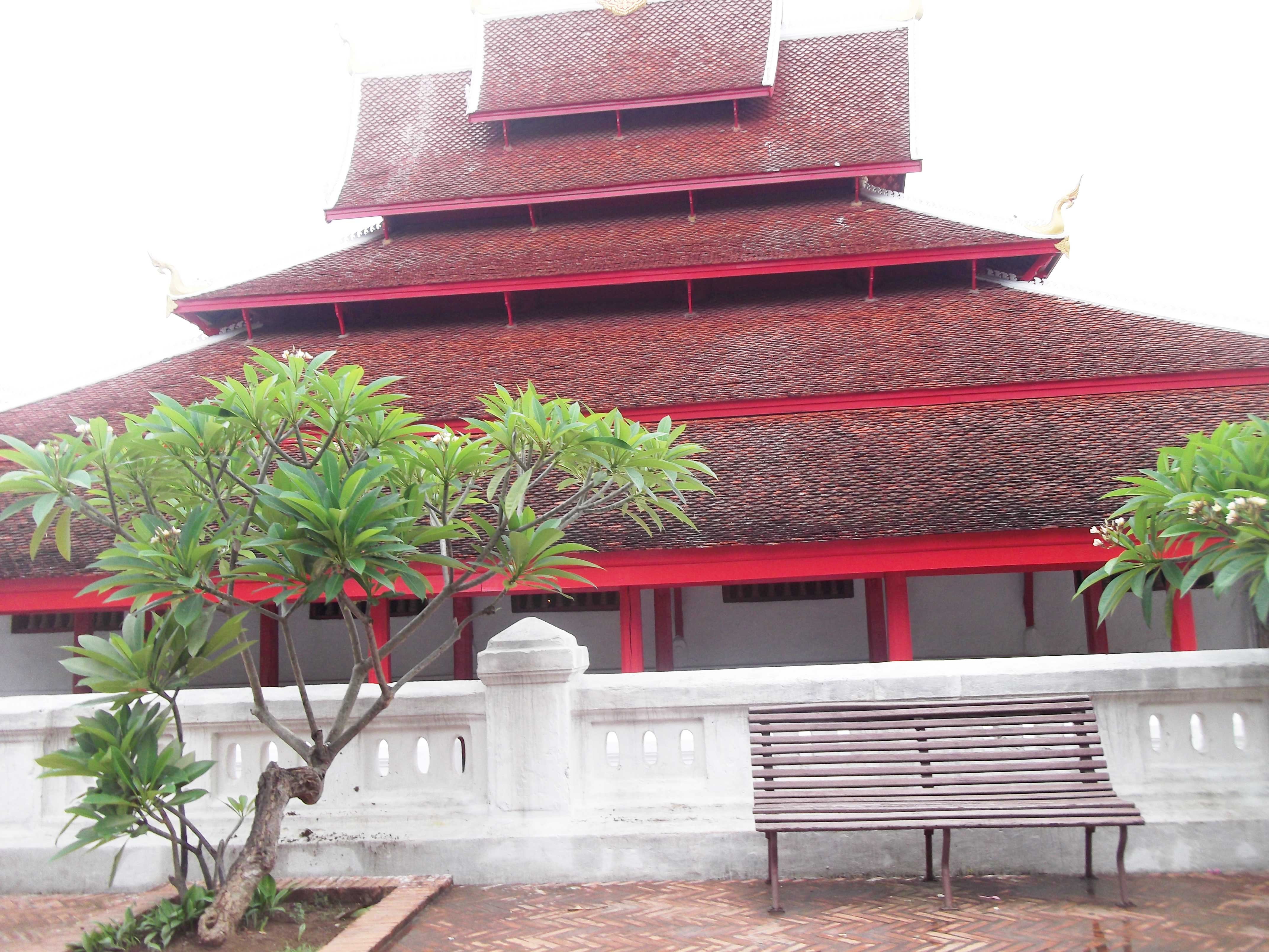 DSCF2652 - Top Tourist