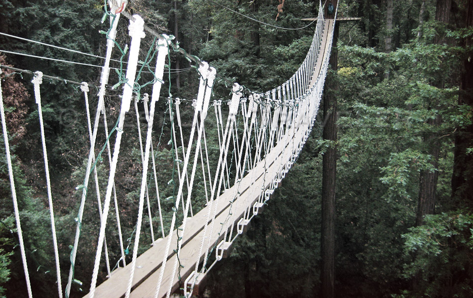 zipline-bridge - Top Tourist