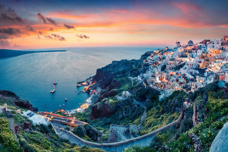 Beautiful Blooms and Plants of Malaysia - Top Tourist